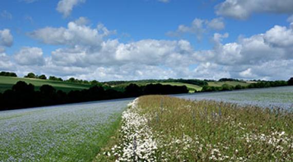 Mapping the agricultural landscape | AgZeroPlus